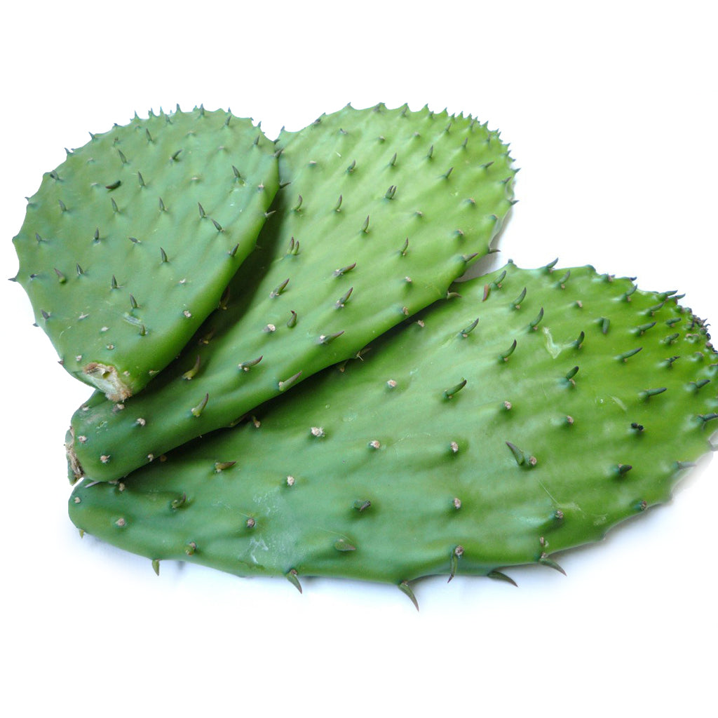Nopal Pieza 125gr – Central a Domicilio